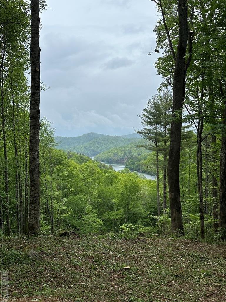 10.84 ac North Norton Road, Cullowhee, NC 28723 - MLS# 104394 | CENTURY 21