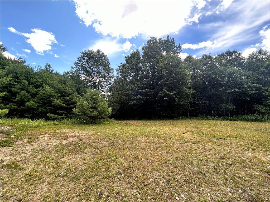 270 Collins Gifford Valley Road, Northville, NY 12134 - MLS# R1646828 | CENTURY 21